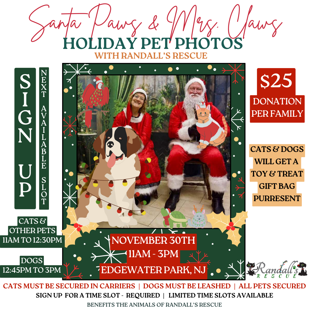 Santa Paws & Mrs. Claws - Holiday Pet Photos - Randall's Rescue